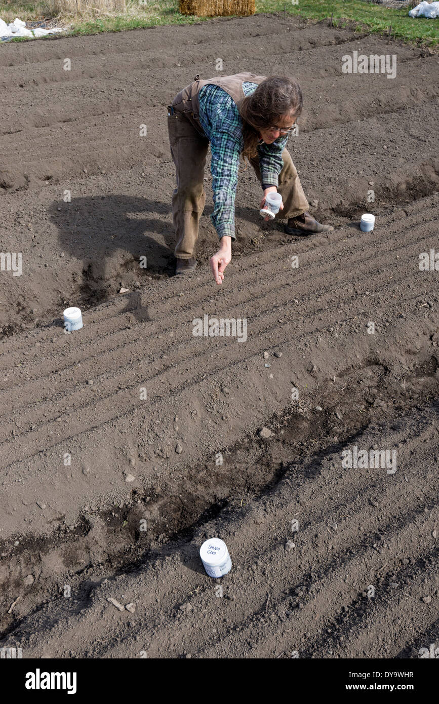 Farmer sowing seeds by hand hi-res stock photography and images - Alamy