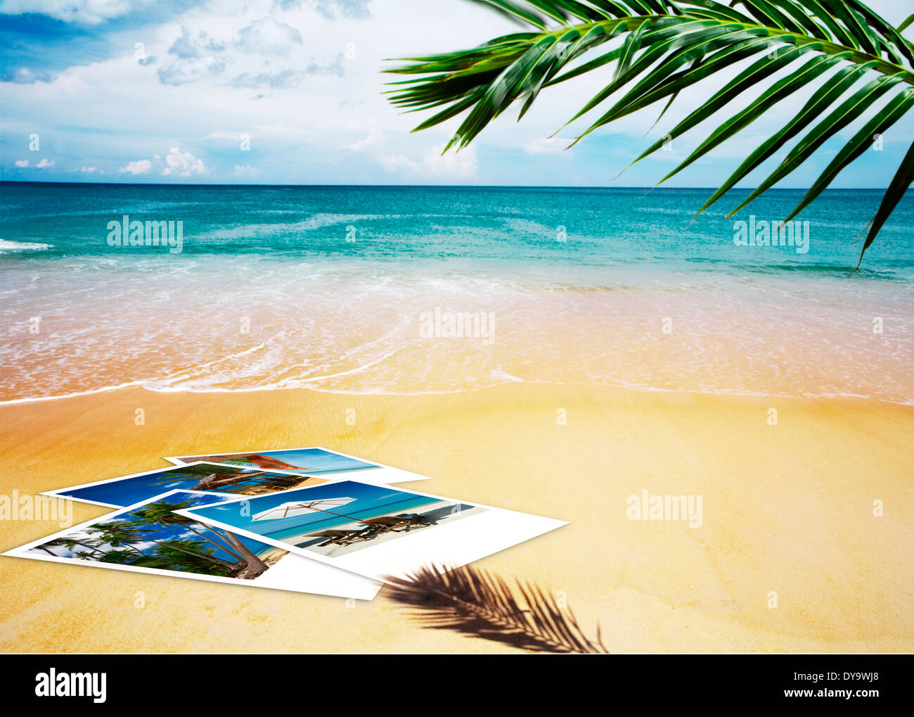 Tropic beach theme collage composed of few photos Stock Photo - Alamy