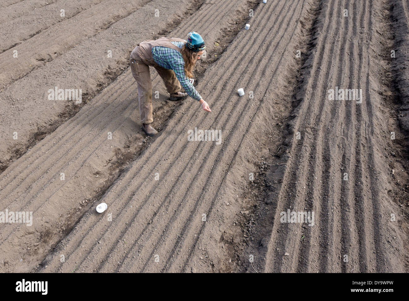 Farmer sowing seeds by hand hi-res stock photography and images - Alamy
