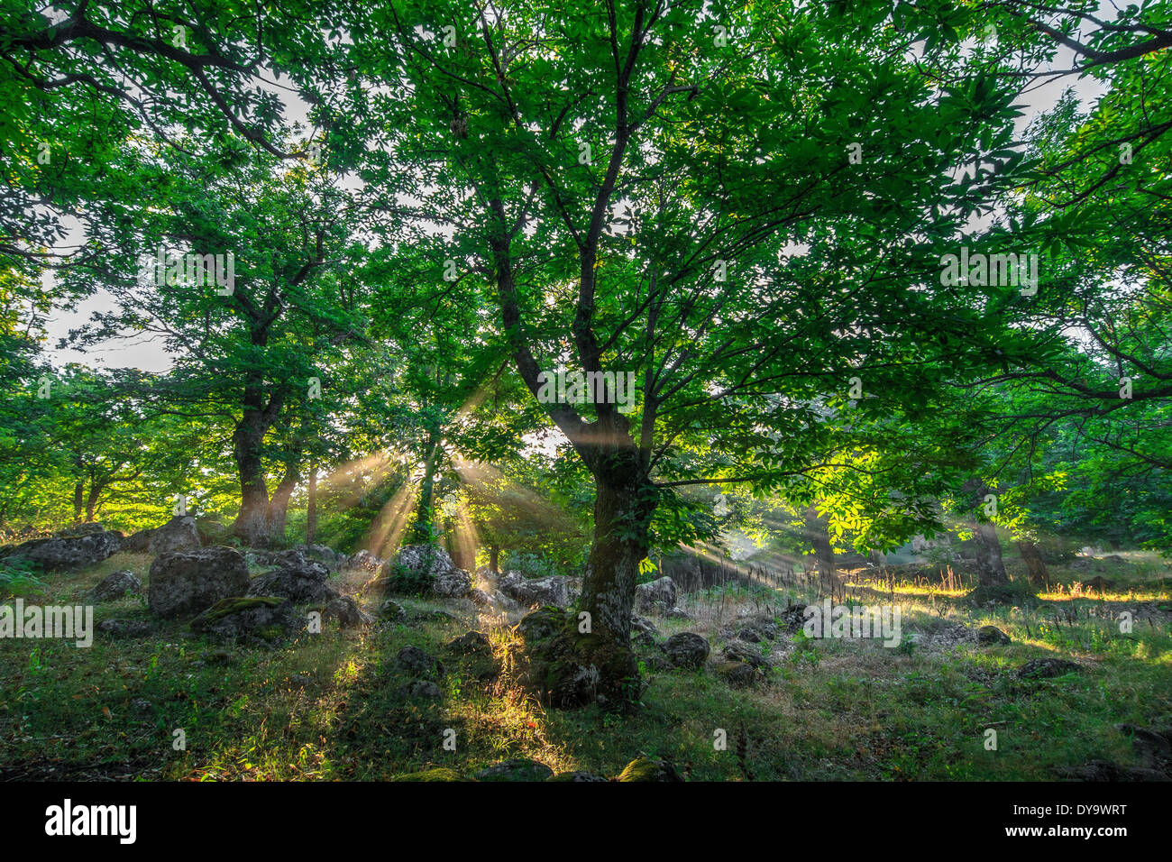 Light beam hi-res stock photography and images - Alamy