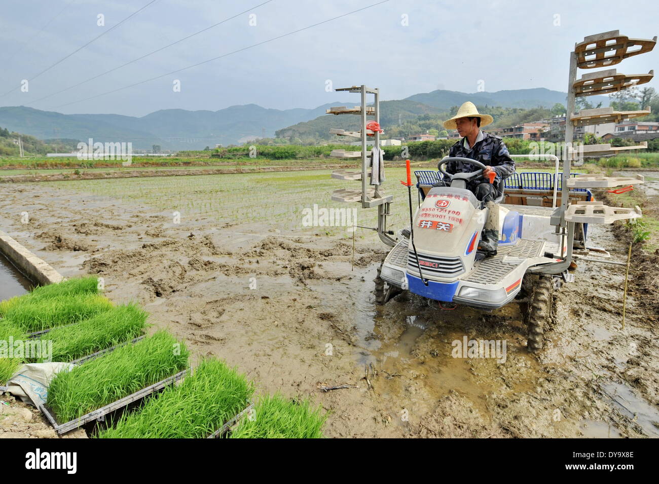Minhou, China's Fujian Province. 11th Apr, 2014. Rice transplanter ...