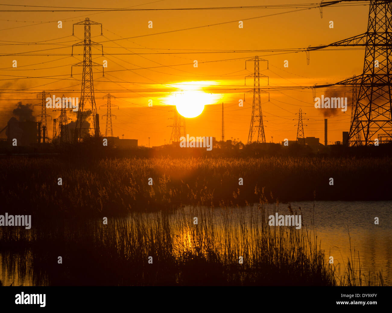 Saltholme RSPB reserve near Middlesbrough, England, UK. 11th April ...