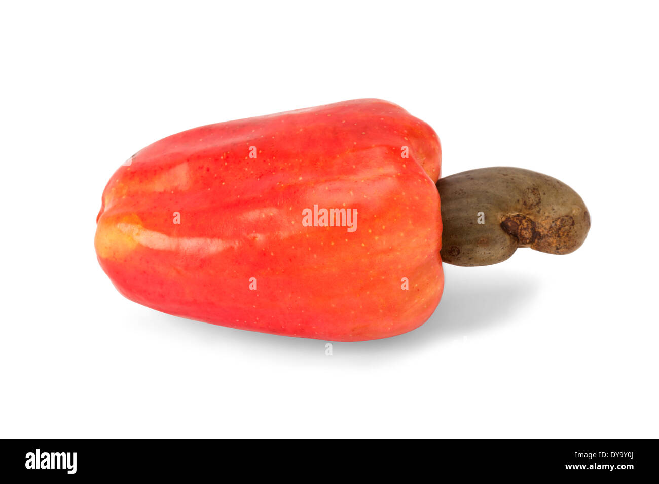 Fresh ripe Brazilian Caju Cashew Fruit Stock Photo - Alamy