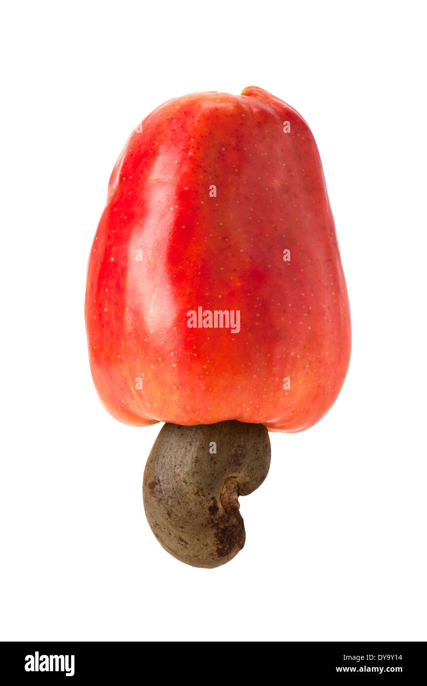 Brazil farm Cut Out Stock Images & Pictures - Alamy