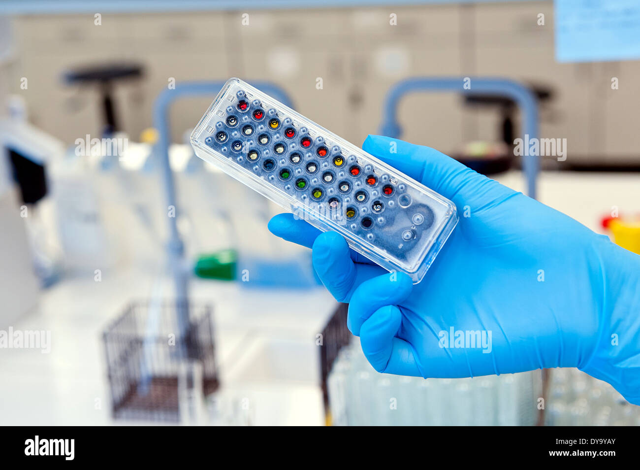 Biochemical test for bacteria hi-res stock photography and images - Alamy
