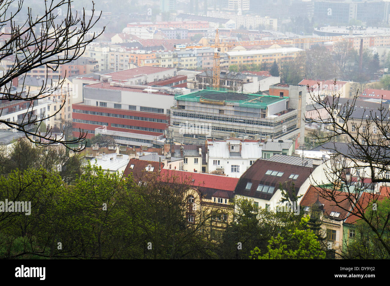 Pekarska Street, St. Anne's University Hospital, International Clinical ...
