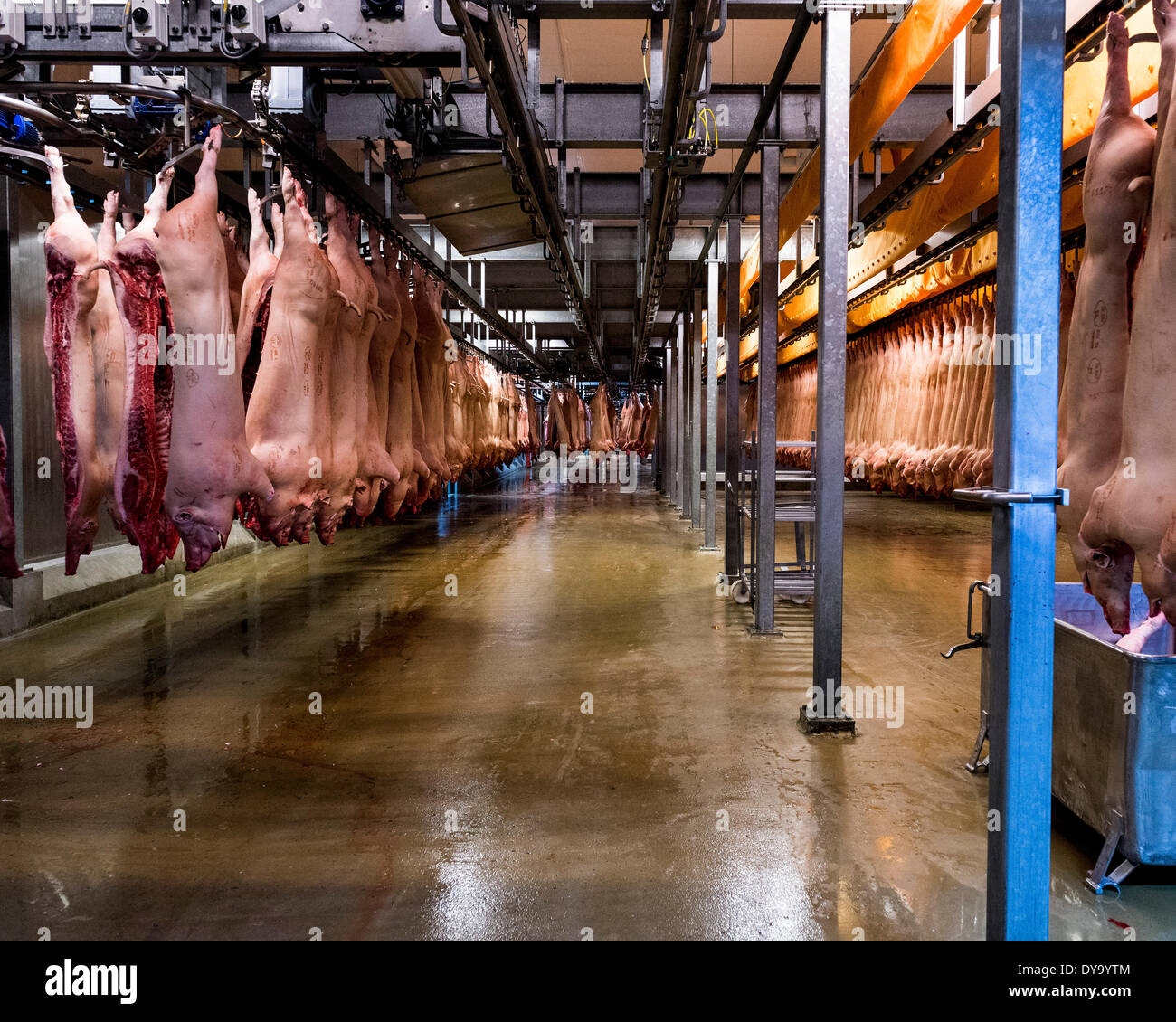 Danish crown slaughterhouse horsens denmark hi-res stock photography ...