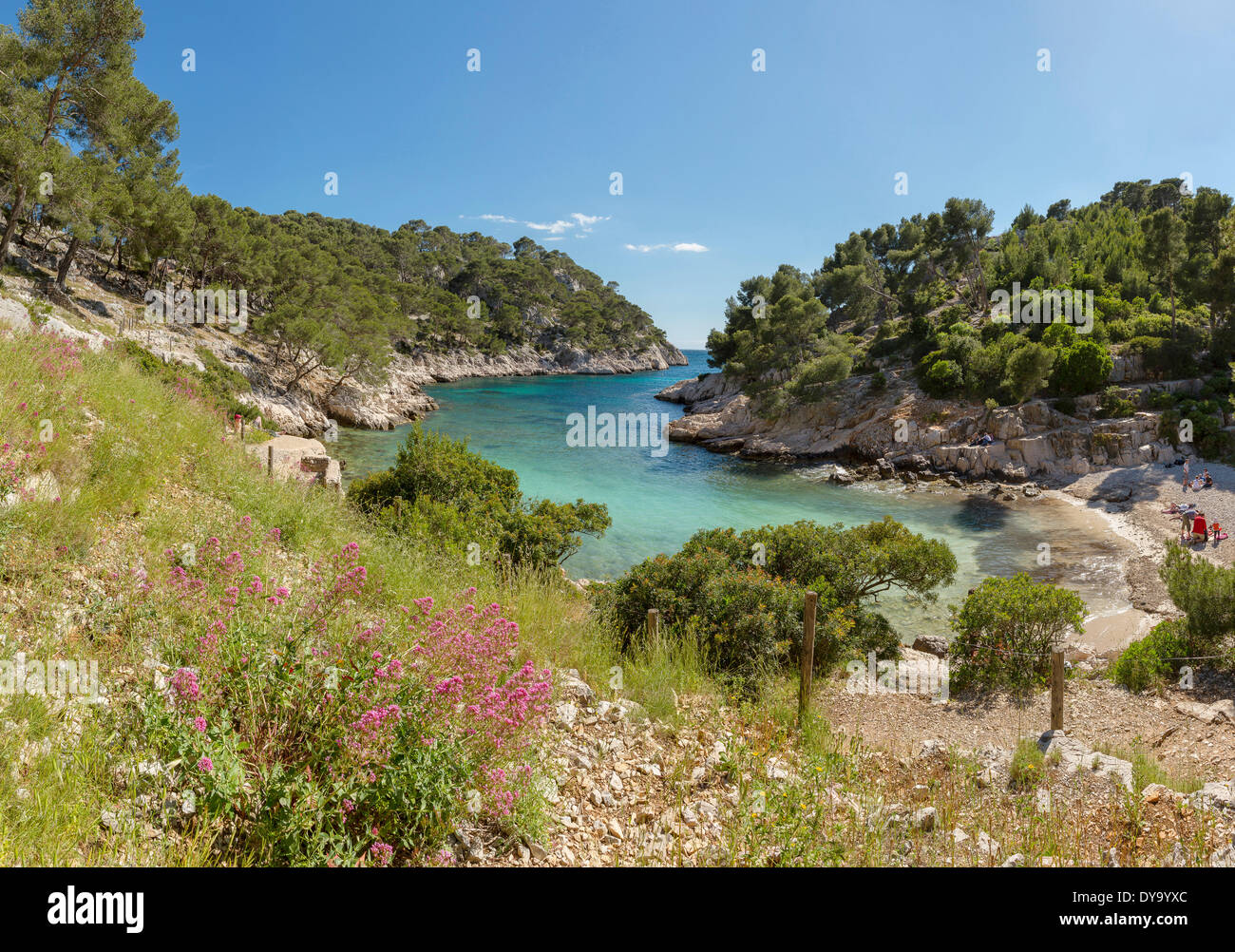 Calanque de Port Pin calanque rocky bay landscape water trees spring ...