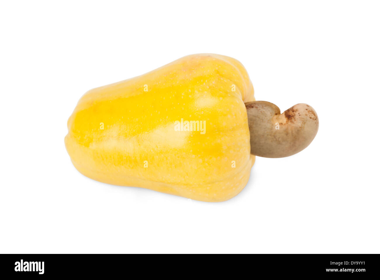 Brazilian caju cashew seed cachoux caju fruit tropical Cut Out Stock ...