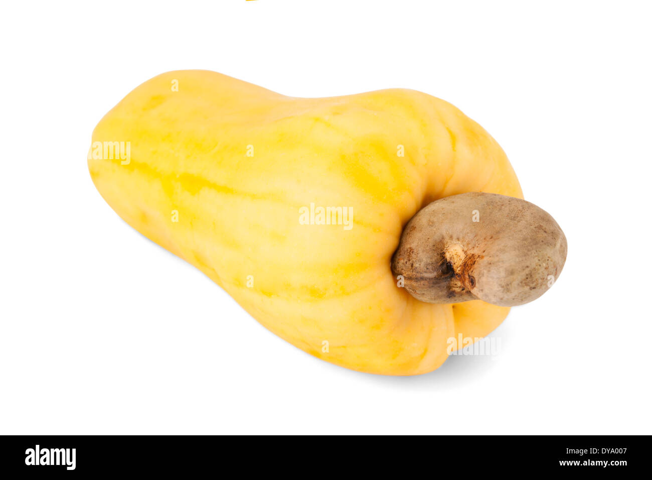 Fresh ripe Brazilian Caju Cashew fruit with path Stock Photo - Alamy
