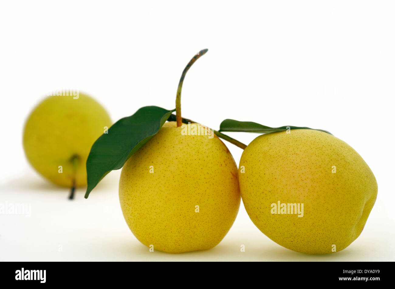 yellow color pear with green leaf Stock Photo - Alamy