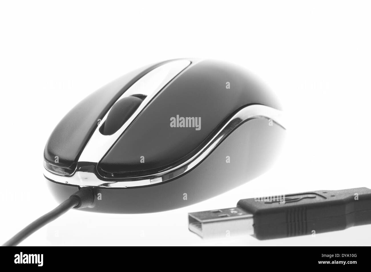 black and white computer mouse with its cord Stock Photo - Alamy