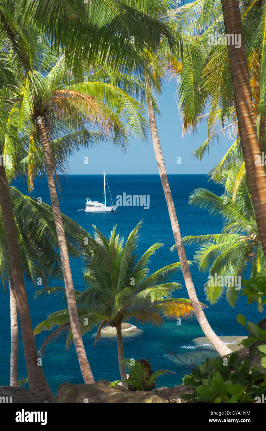 view of nice tropic shore with palms, ocean, big stones and white boat ...