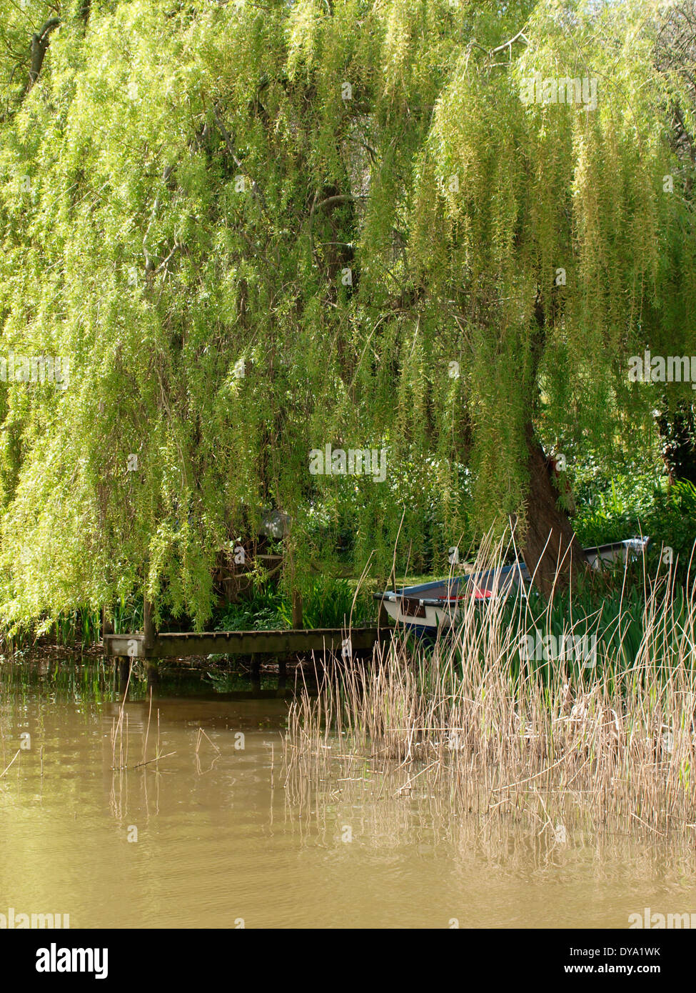 Pontoon boat under scenic riverbank hi-res stock photography and images ...