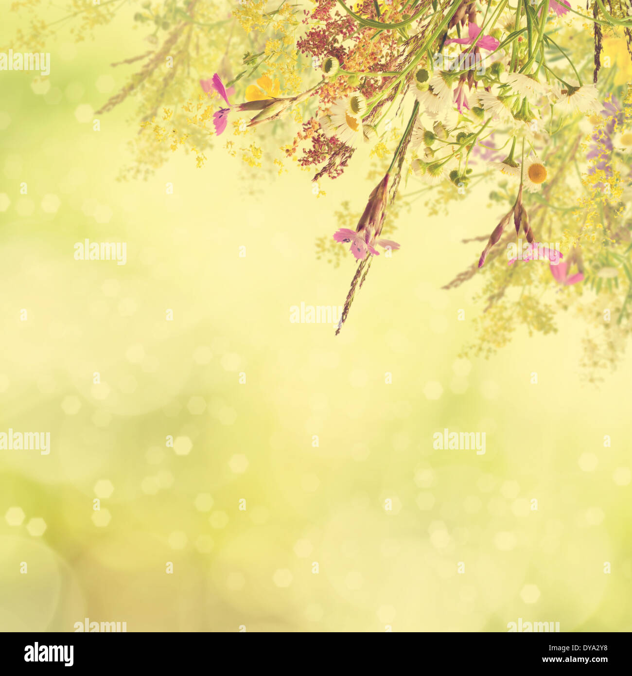 Floral easter background Stock Photo - Alamy