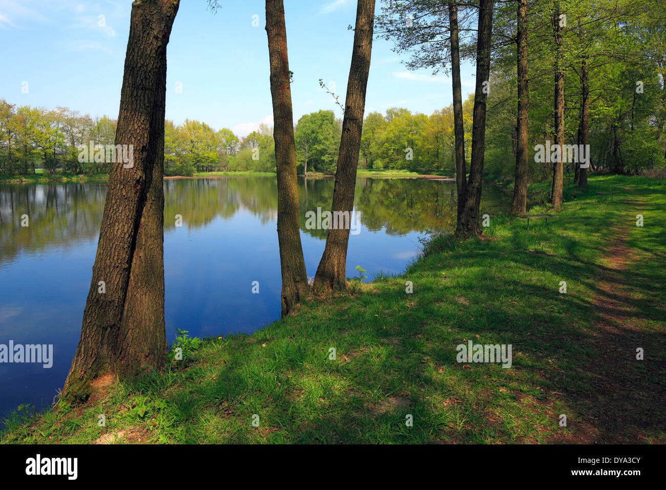 Delbruck hi-res stock photography and images - Alamy