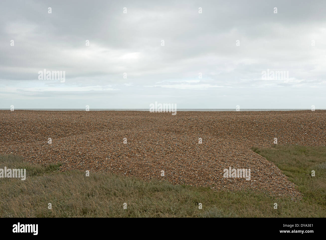 Shingle beach which has moved inland after the tidal storm surge along ...