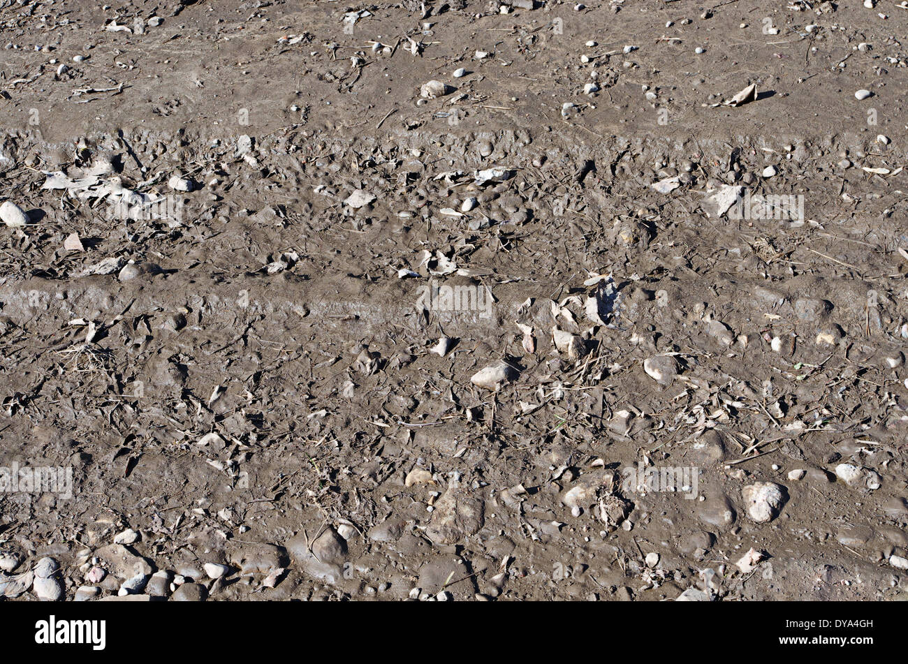 Wet earth hi-res stock photography and images - Alamy