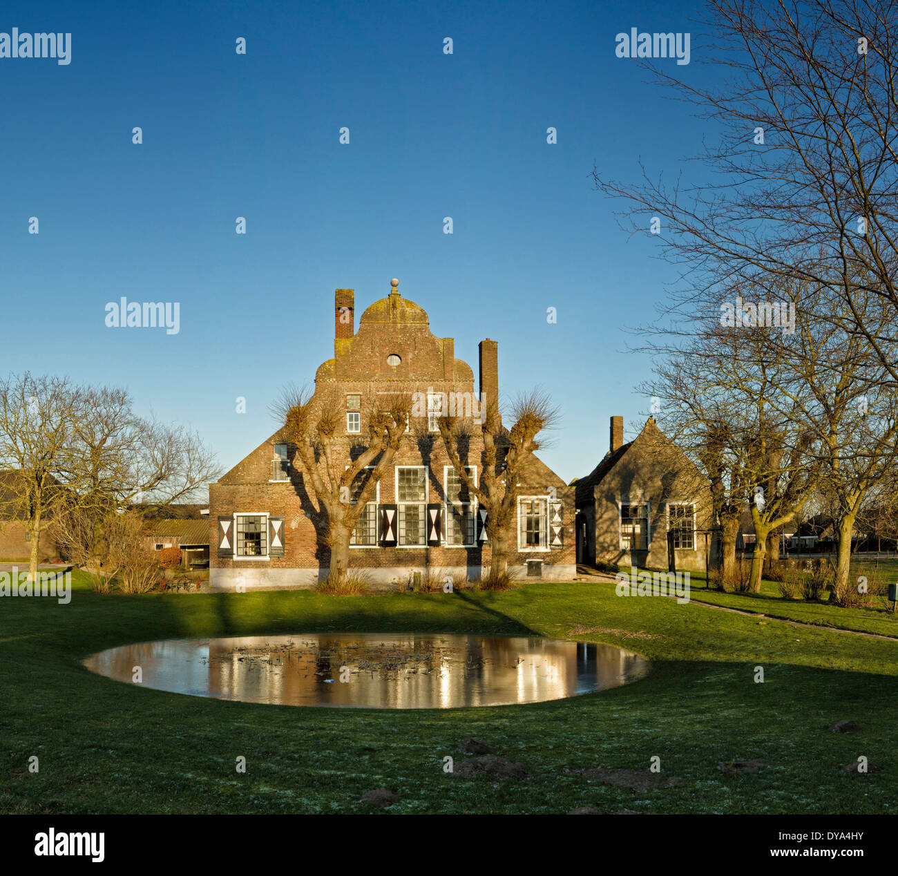 Netherlands, Holland, Europe, Olst, Overijssel, farm, field, meadow ...