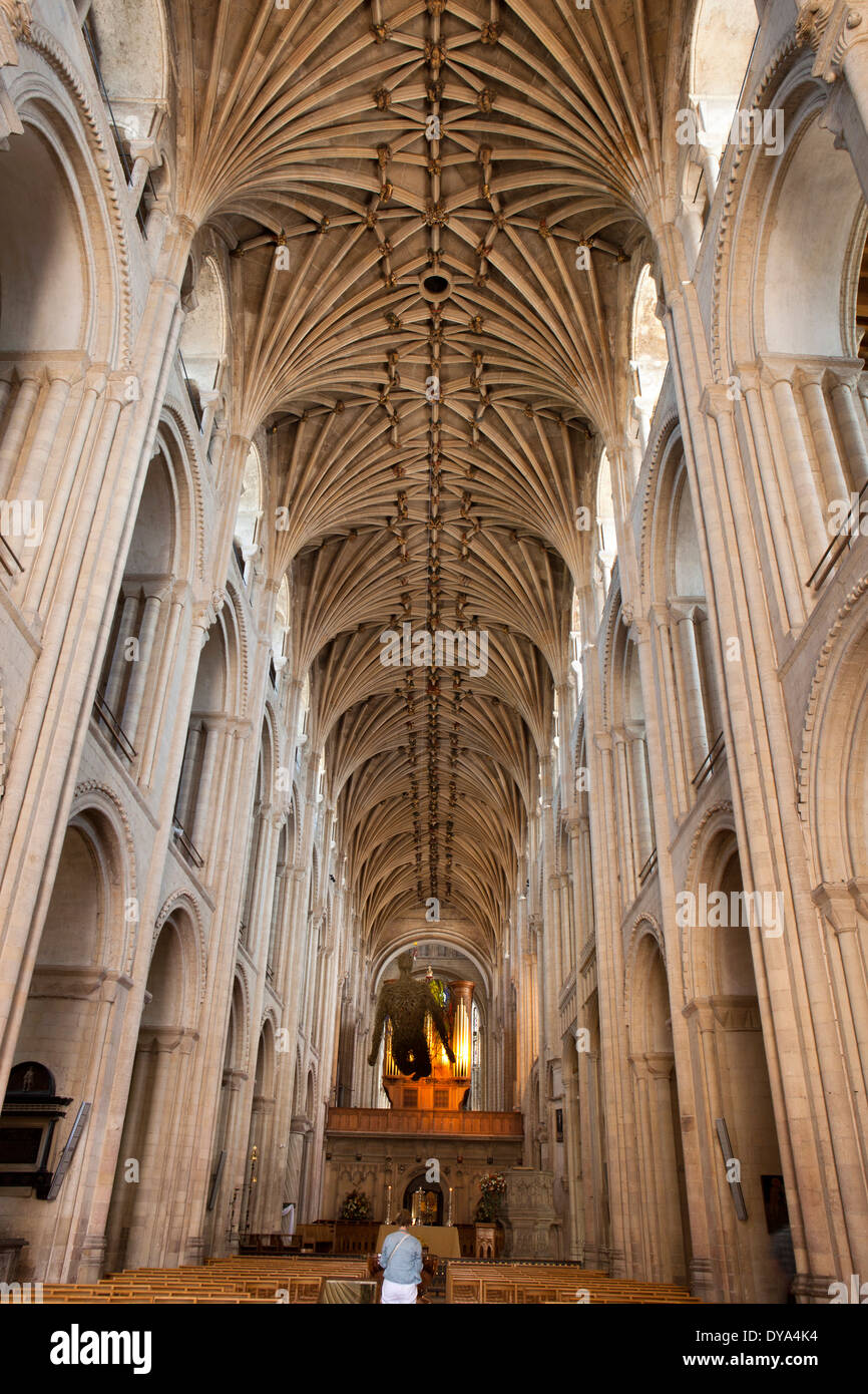Vaulted roofs hi-res stock photography and images - Alamy