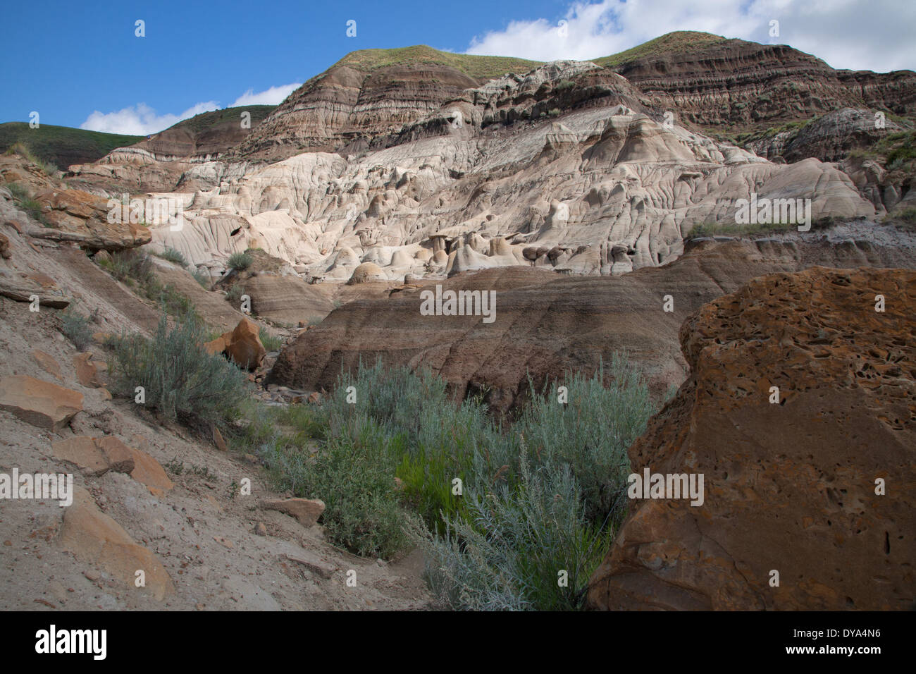 Alberta badlands hi-res stock photography and images - Alamy