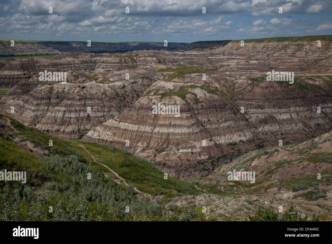 Alberta, badlands, rock, stones, Horse Thief canyon, canyon, Canada ...