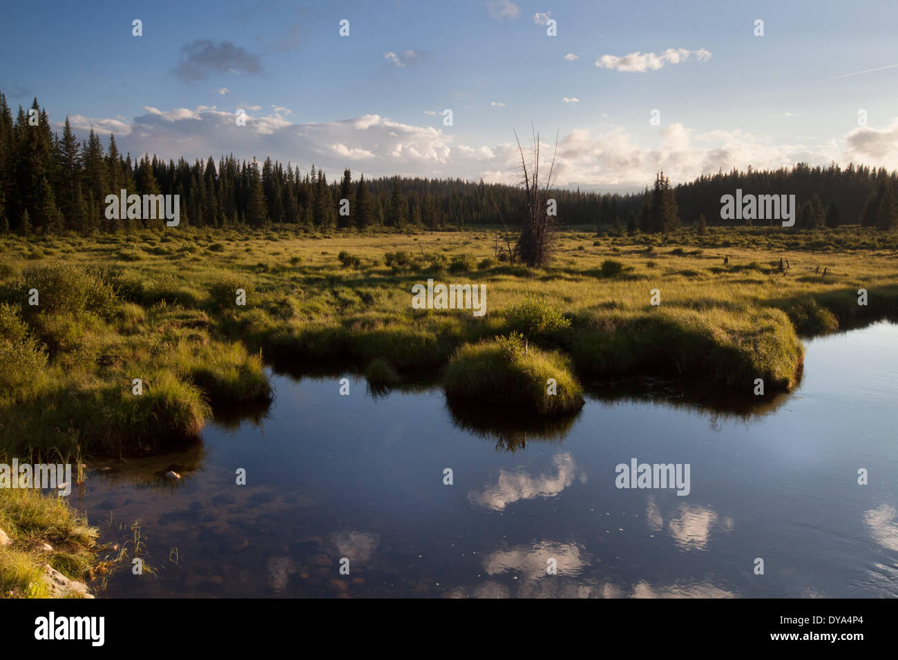 Alberta, Canada, scenery, landscape, light, mood, moor, North America ...