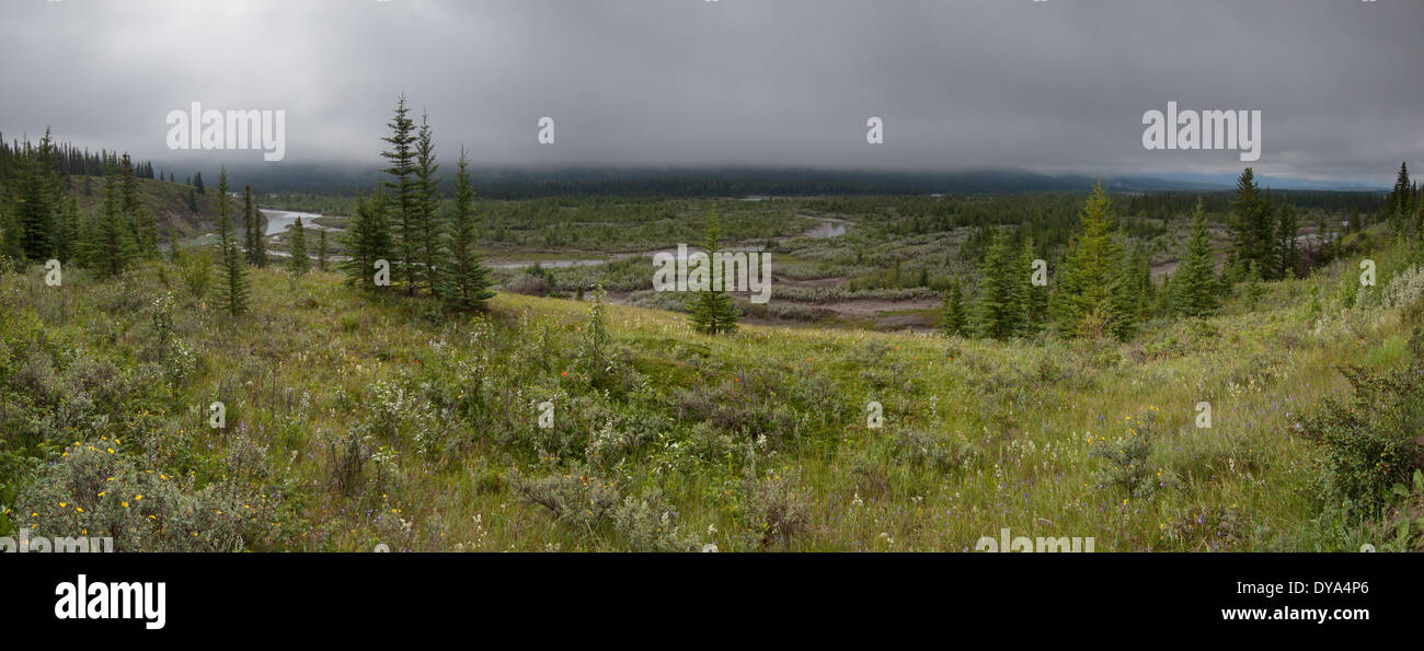 Alberta, creek, river, brook, trees, river, Canada, scenery, landscape ...
