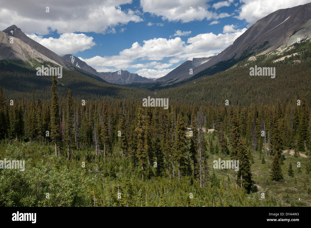 Alberta, Banff, national park, mountains, Canada, scenery, landscape ...