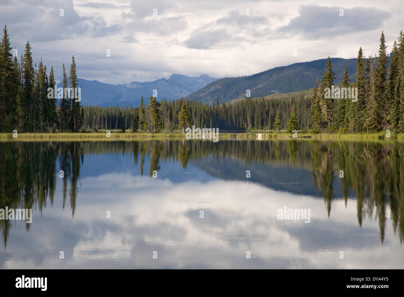 Alberta Canada scenery landscape North America lake reflection wood ...
