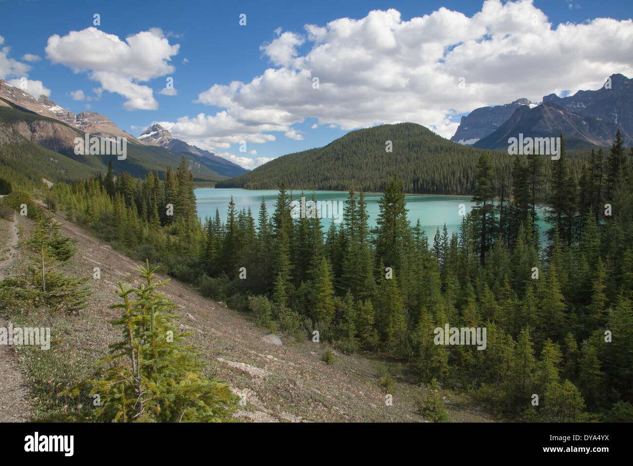 Alberta, Banff, national park, mountains, Canada, scenery, landscape ...