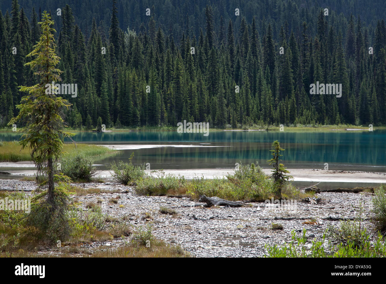Alberta, mountains, Emerald Lake, Canada, scenery, landscape, North ...
