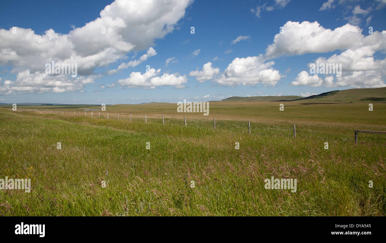 Alberta, fields, Canada, scenery, landscape, North America, prairie ...