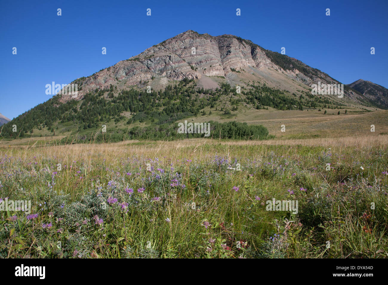 Alberta, mountains, Canada, scenery, landscape, North America, Rocky ...