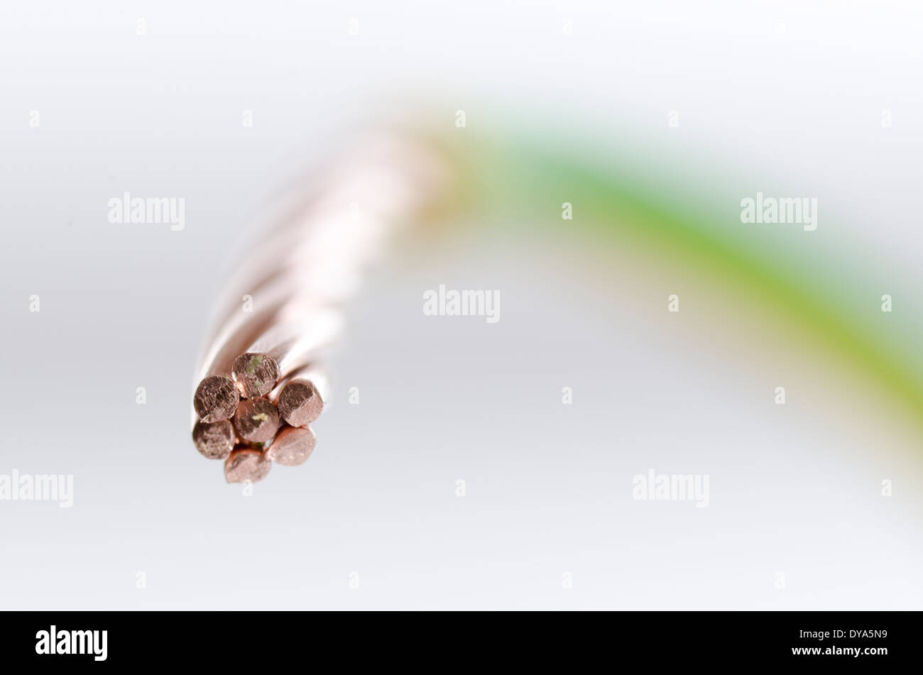 electrical cable end, exposed copper with green and yellow cable ...