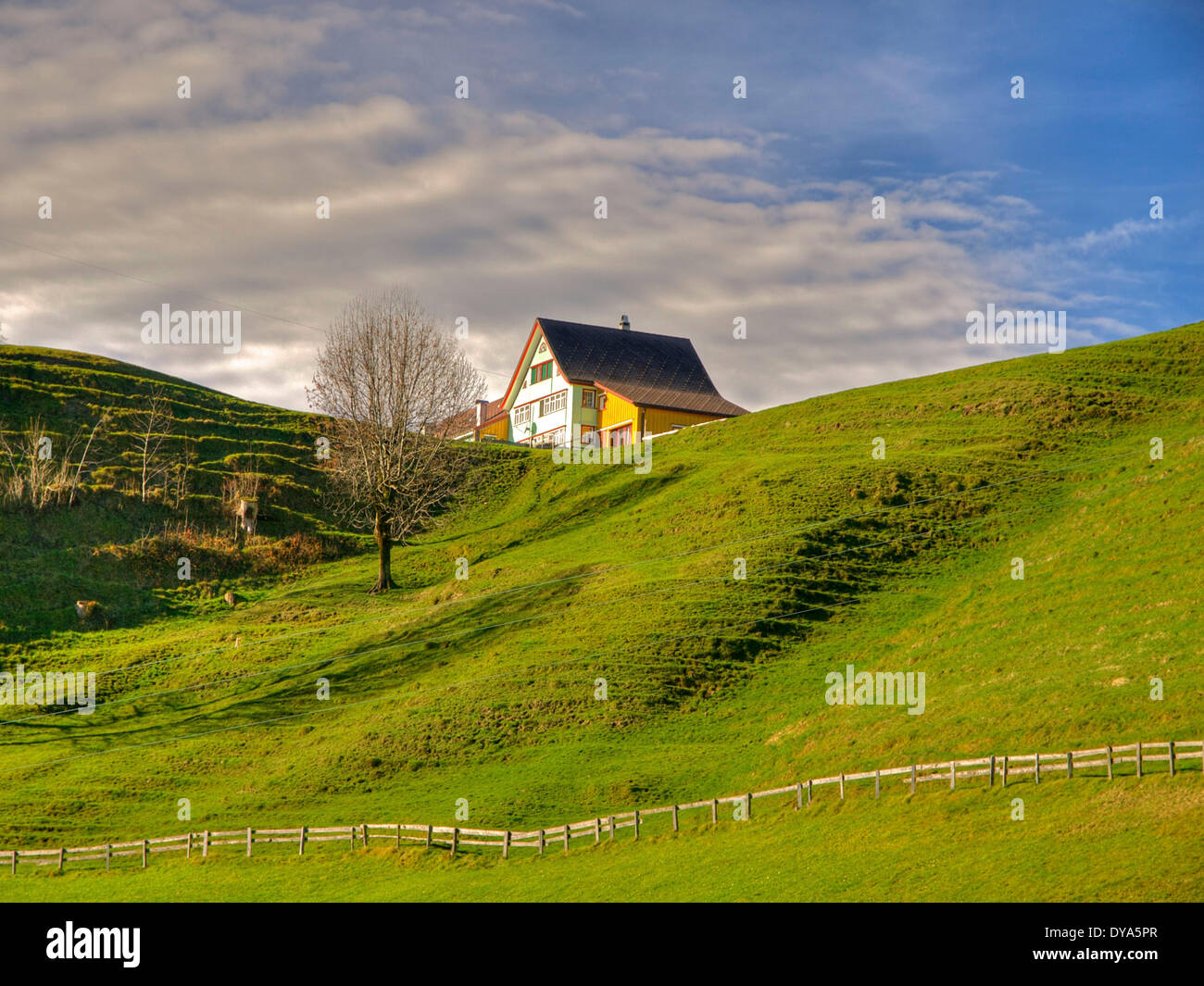 Switzerland, Europe, Appenzell, farms, Gonten, green, hedge, hill ...