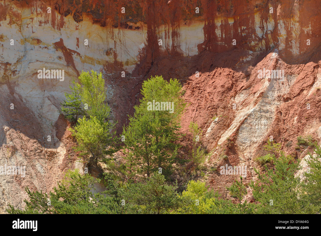 Europe, Roussillon, Vaucluse, Provence, France, ochre, rock, red, cliff ...