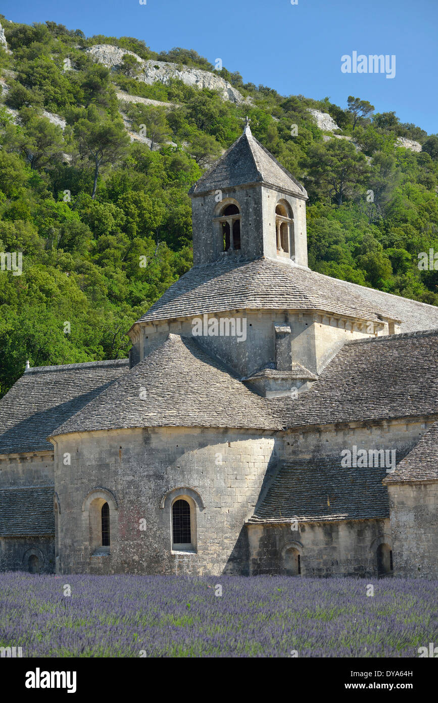 France Provence Vaucluse Provence Abbaye Notre-Dame de Senanque ...