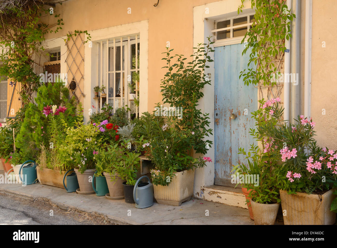 Europe, France, Provence, Luberon, Villars, village, flowers, street ...