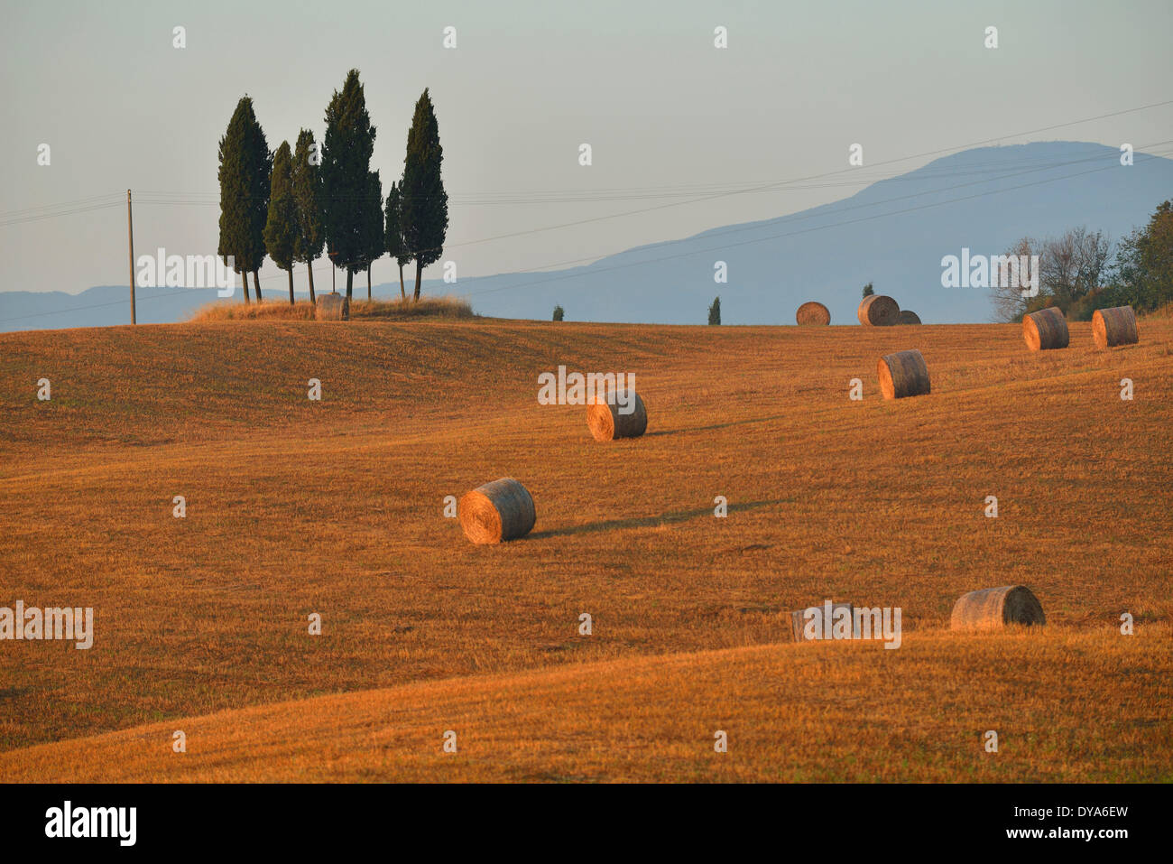 Europe mediterranean italian Italy Tuscany Siena Province hay hay bales ...