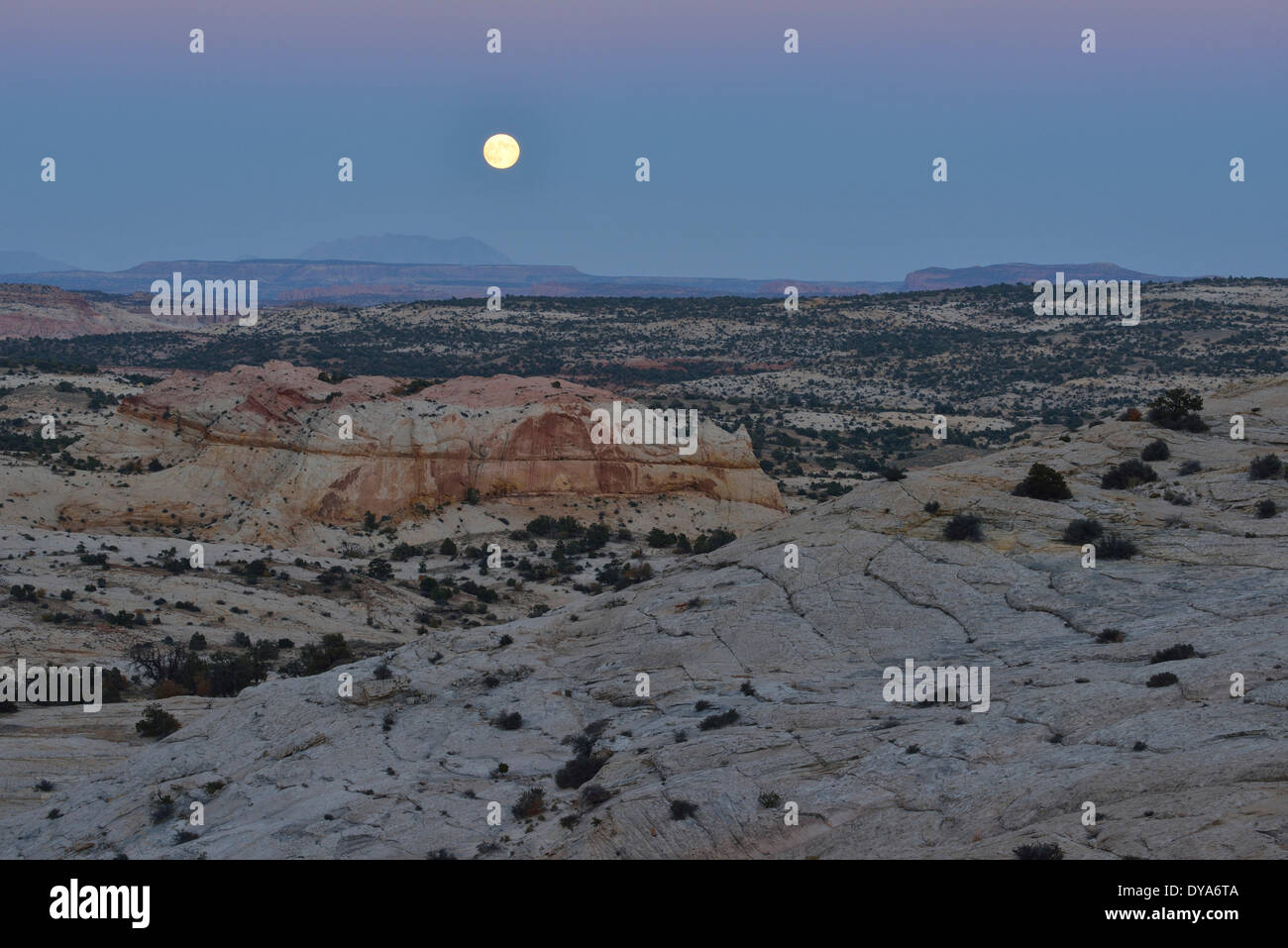 North America Utah Colorado Plateau Escalante Grand Staircase National ...