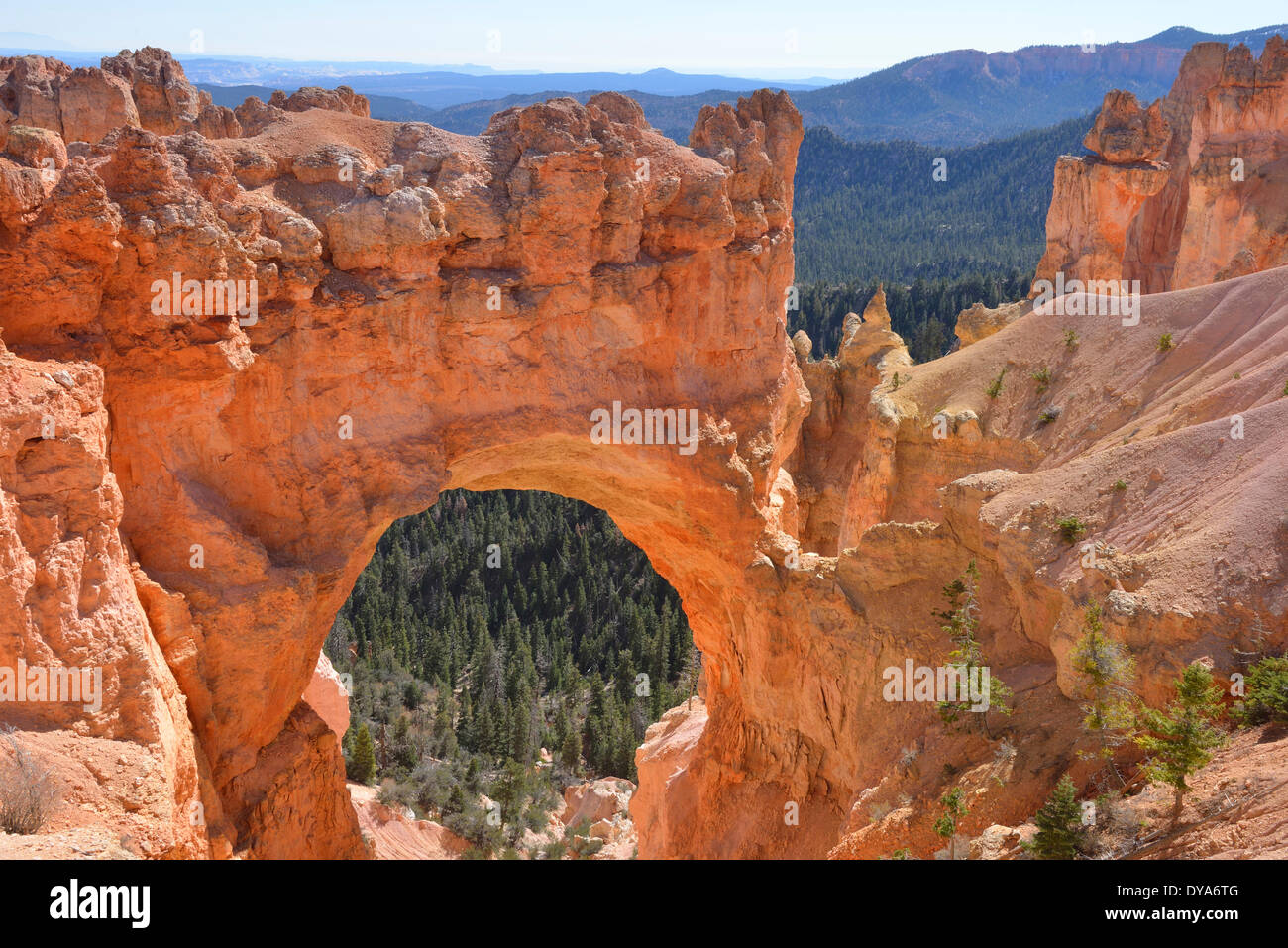 USA, America, United States, Utah, Colorado Plateau, southern, Boulder ...