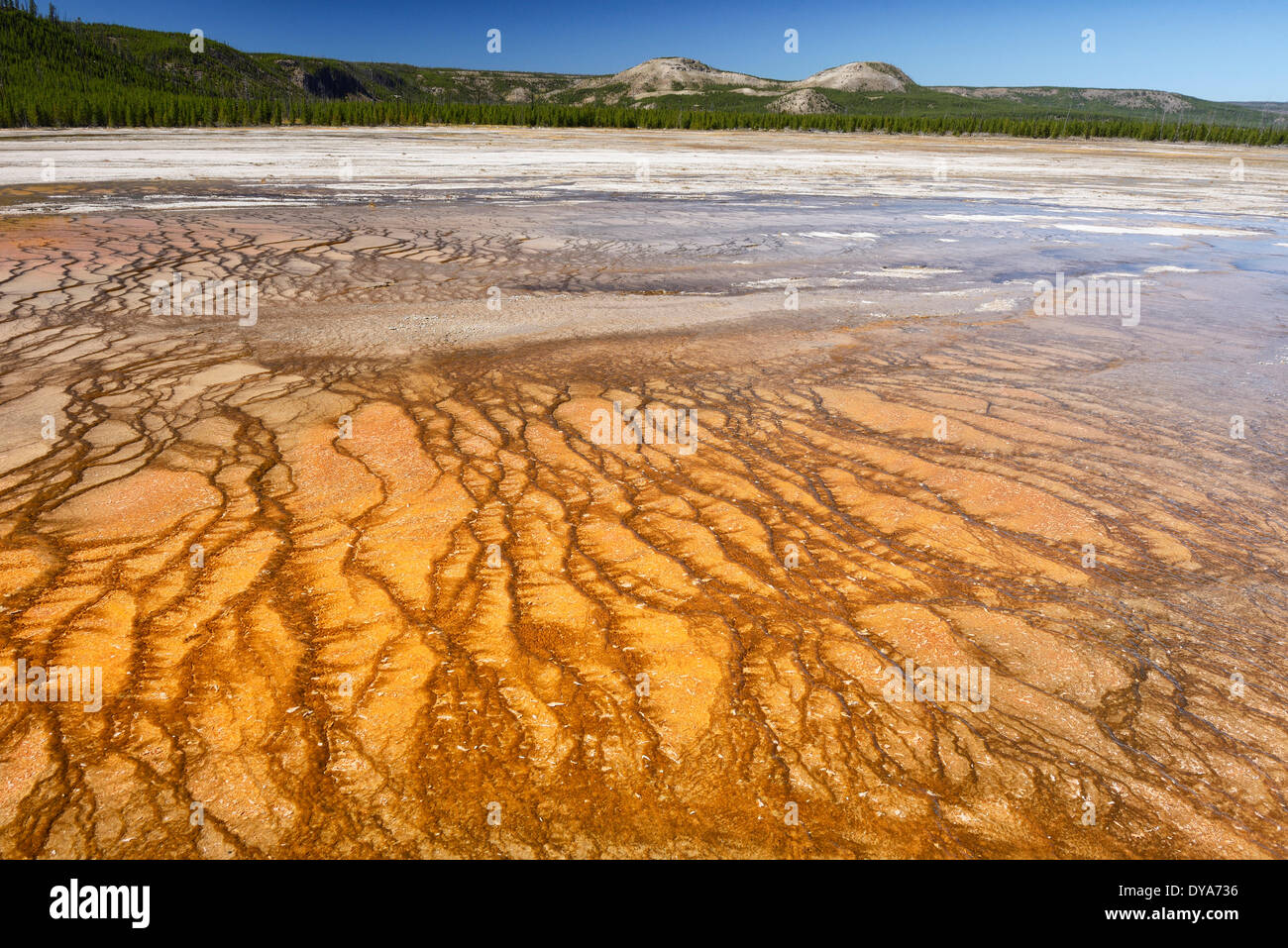 America Wyoming USA United States Rockys Rocky Mountains Yellowstone ...