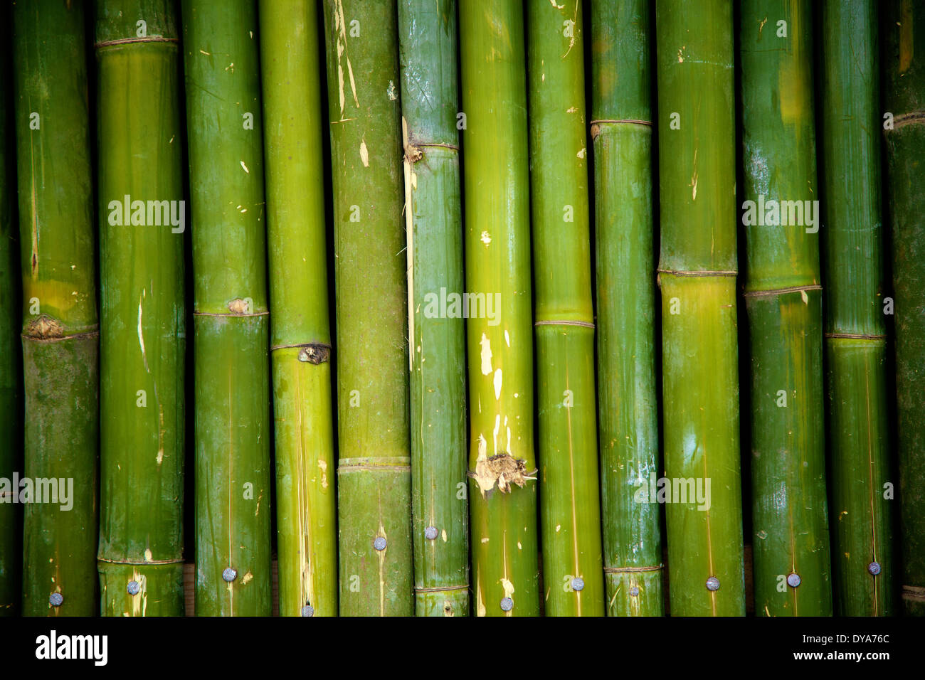 Indian bamboo background hi-res stock photography and images - Alamy