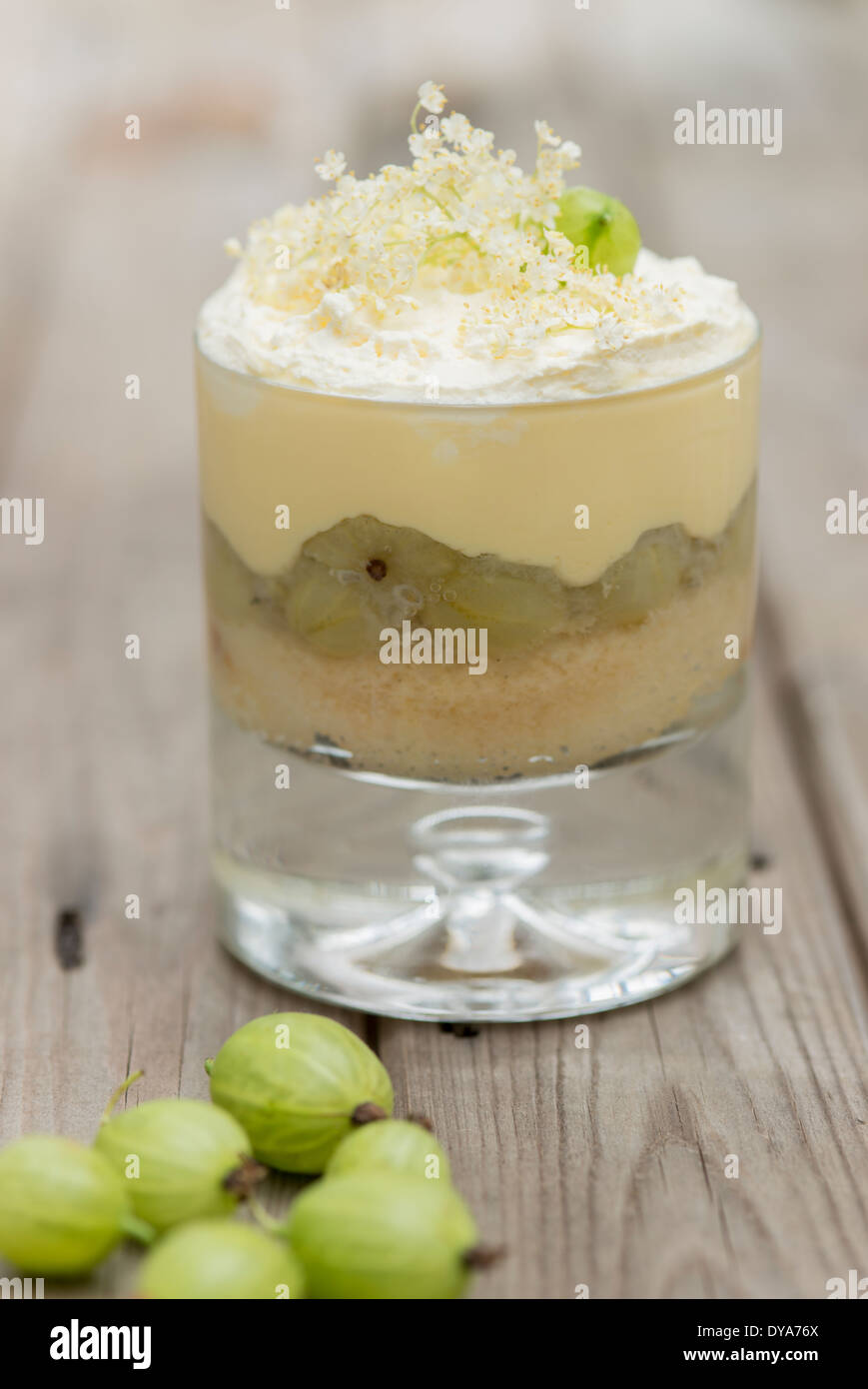 Gooseberry fool in glass, gooseberries in the foreground, elderflower ...