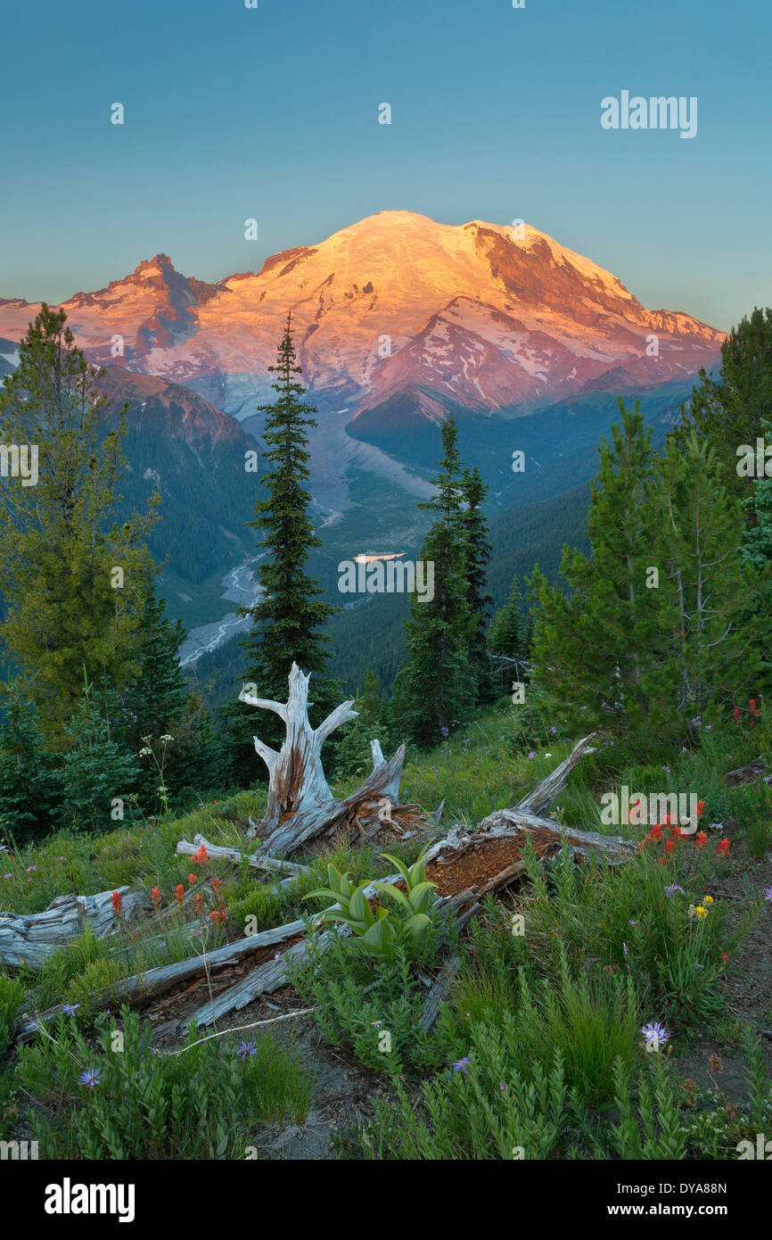 WA Washington USA America United States Mount Rainier Mt Rainier peak ...