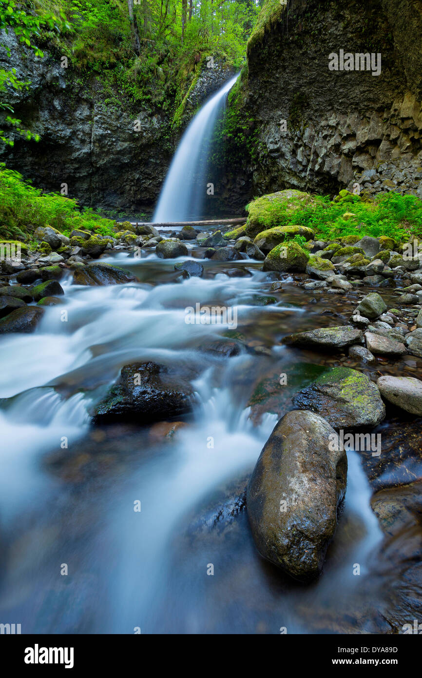 falls cascade Upper Oneonta Falls Oregon OR USA America United States ...