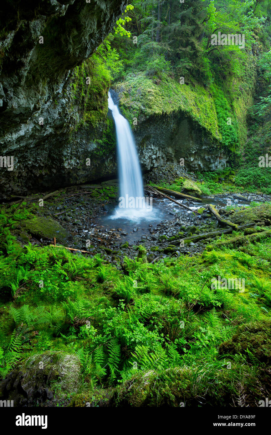 falls cascade Upper Oneonta Falls Oregon OR USA America United States ...