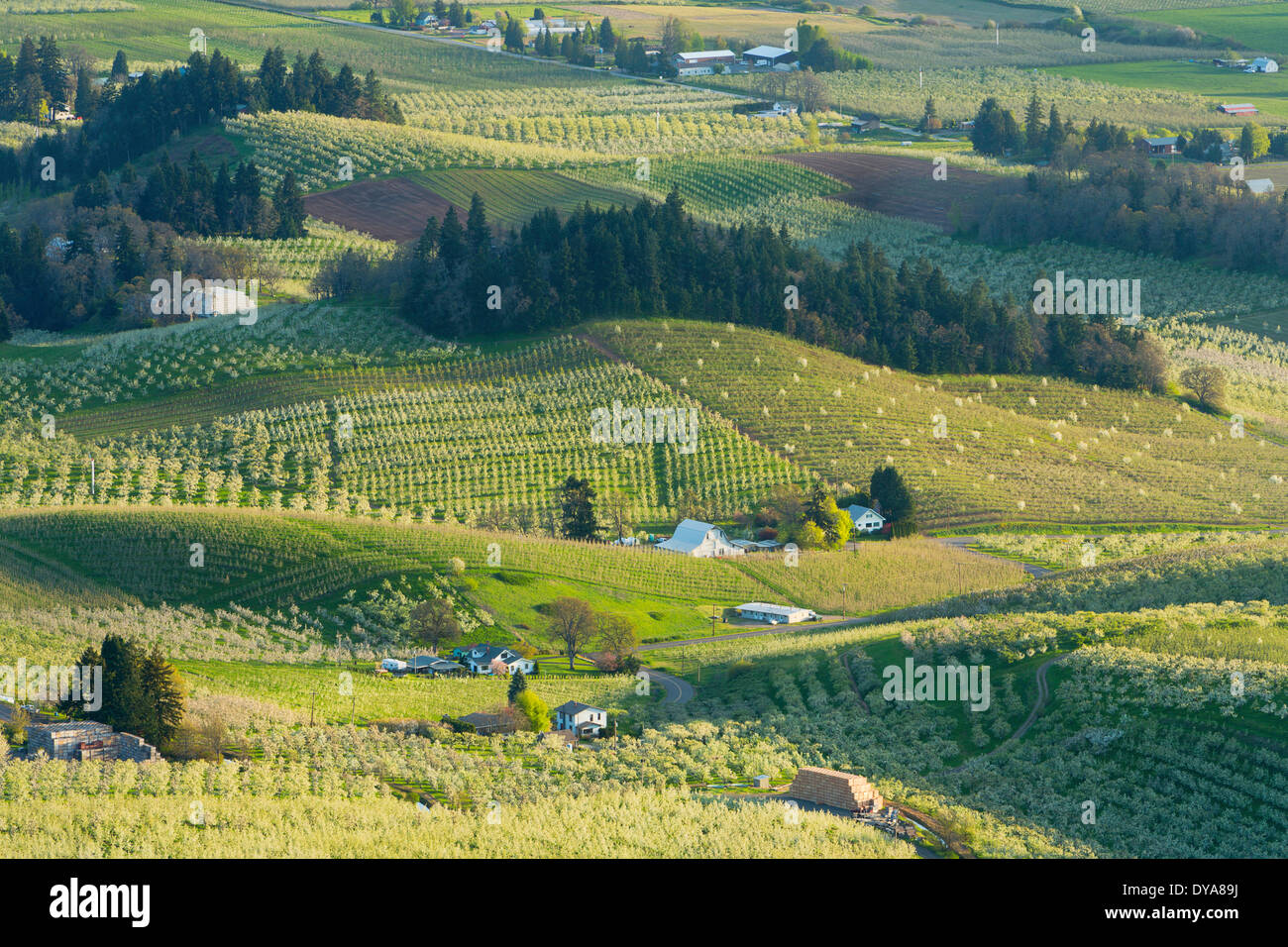Cherry orchard usa hi-res stock photography and images - Alamy