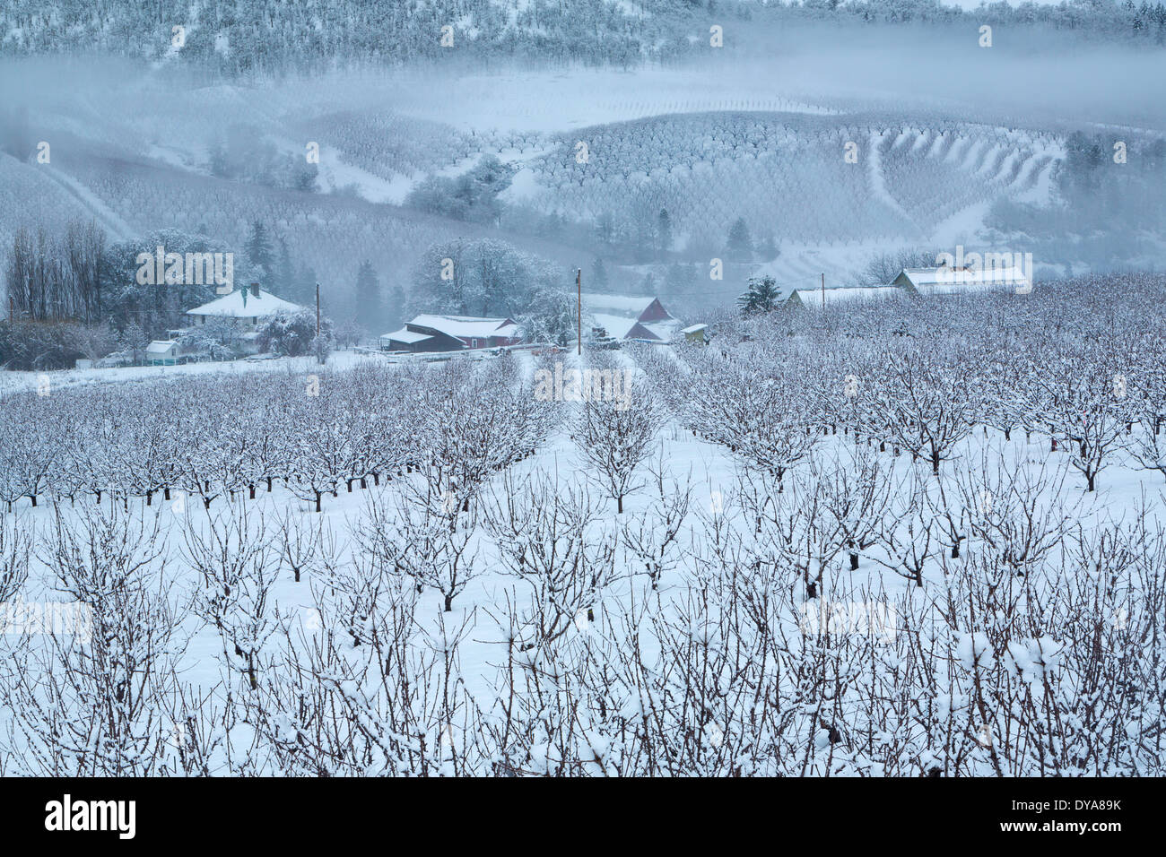 Orchard barn hi-res stock photography and images - Alamy